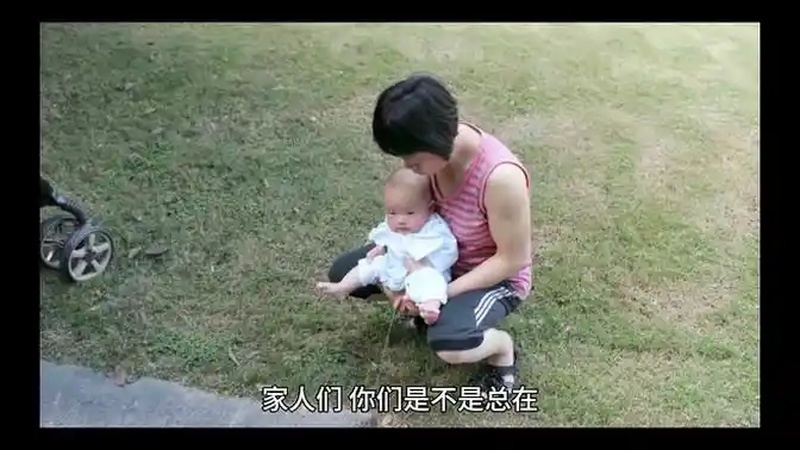 小狗怎么训练它大小便