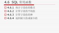 4.6 SQL 常用函数
