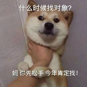 放飞自我的单身狗 