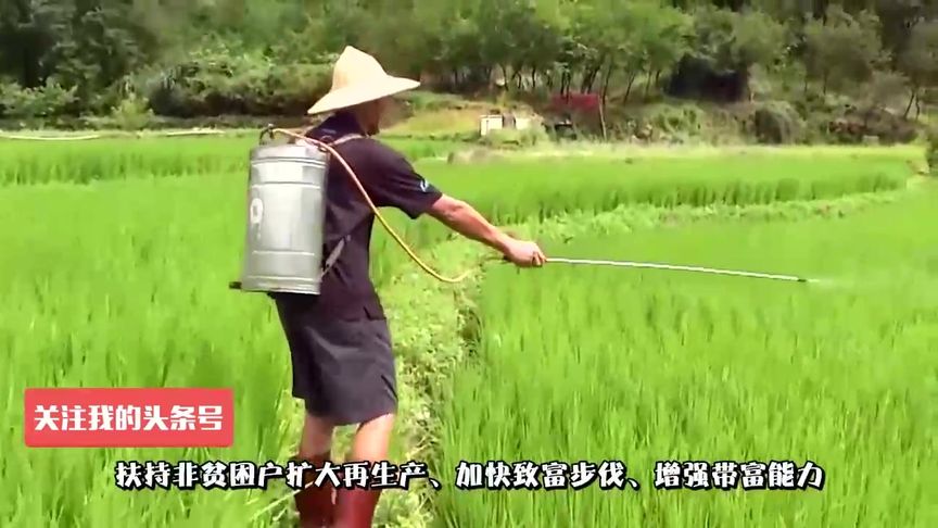 华阴:农村信用体系建设 助力乡村振兴发展
