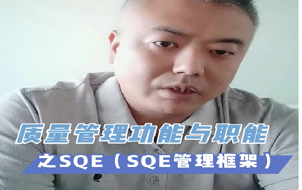 金牌质量:质量管理功能与职能之SQE(SQE管理框架)