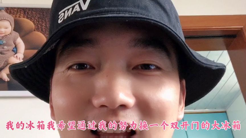冰箱里的世界,单开门冰箱,我想通过我的努力换大房子双开门冰箱
