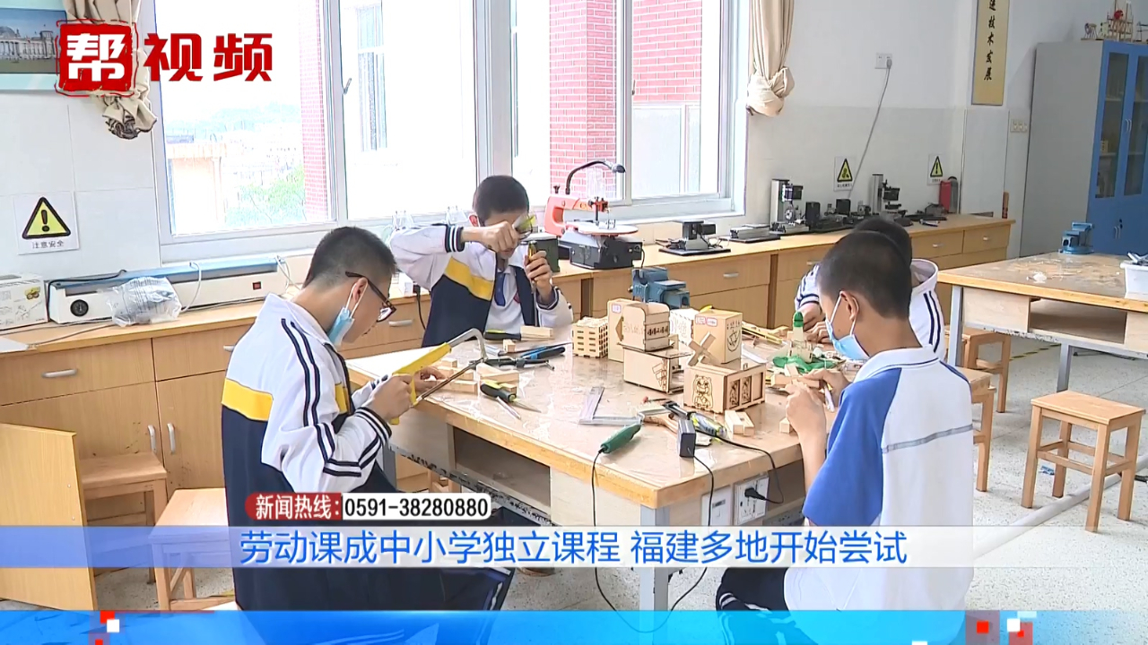 劳动课成中小学独立课程,福建多地掀起劳动教育课“实践”热潮