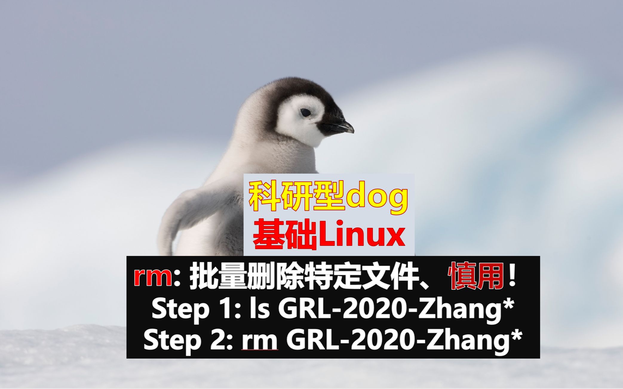 Linux系统基础系列 - rm - 批量删除特定文件、用之前先用ls! rm GRL-...