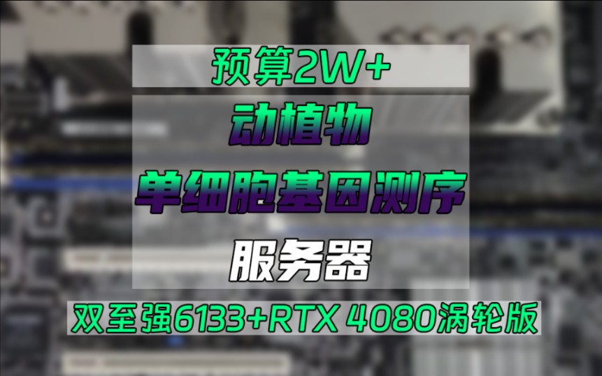 给在读大学生装一台动植物单细胞测序服务器,至强6133两颗+Z11PA-...