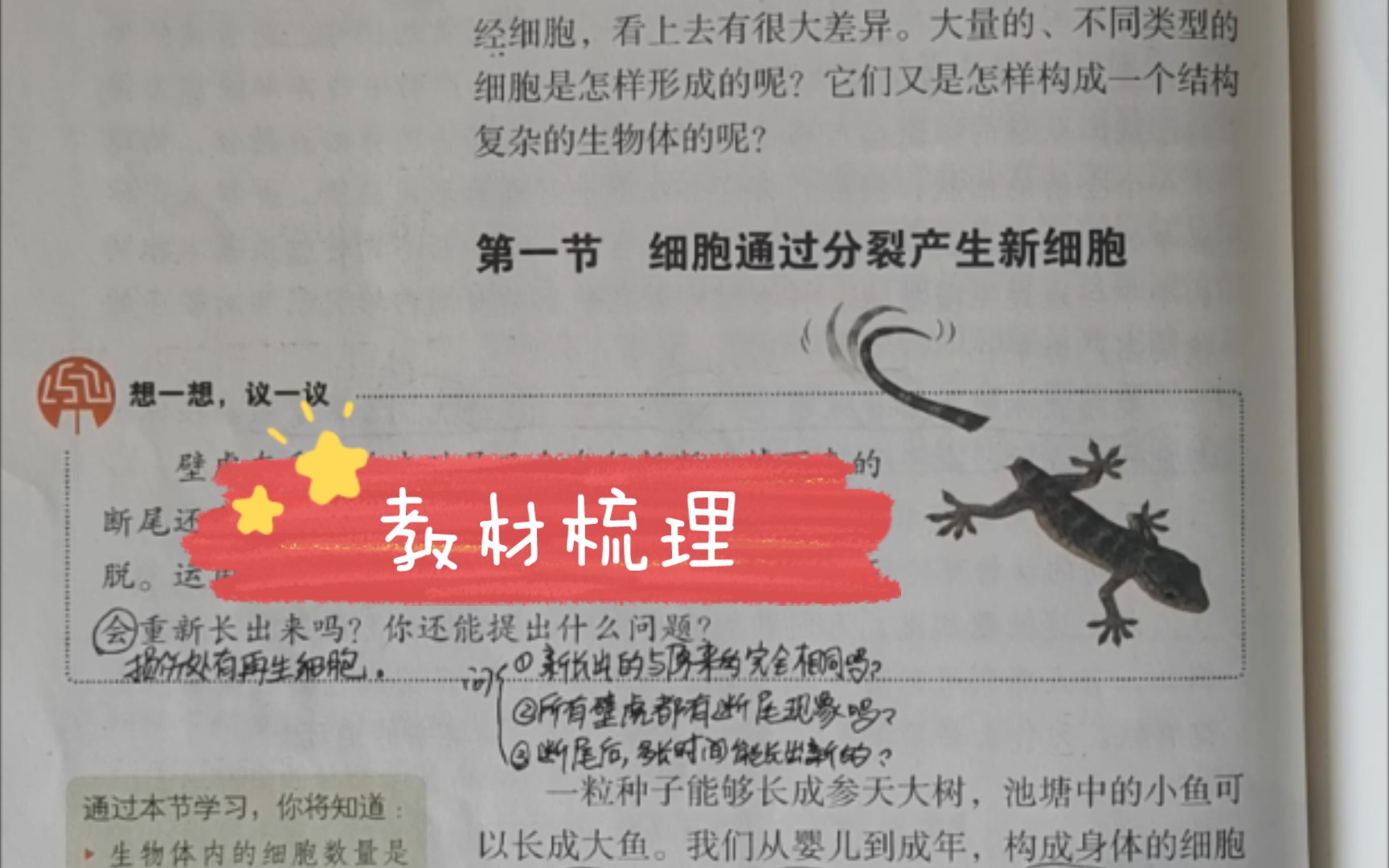 教材梳理//第二章第一节 细胞通过分裂产生新细胞(人教版初中生物...