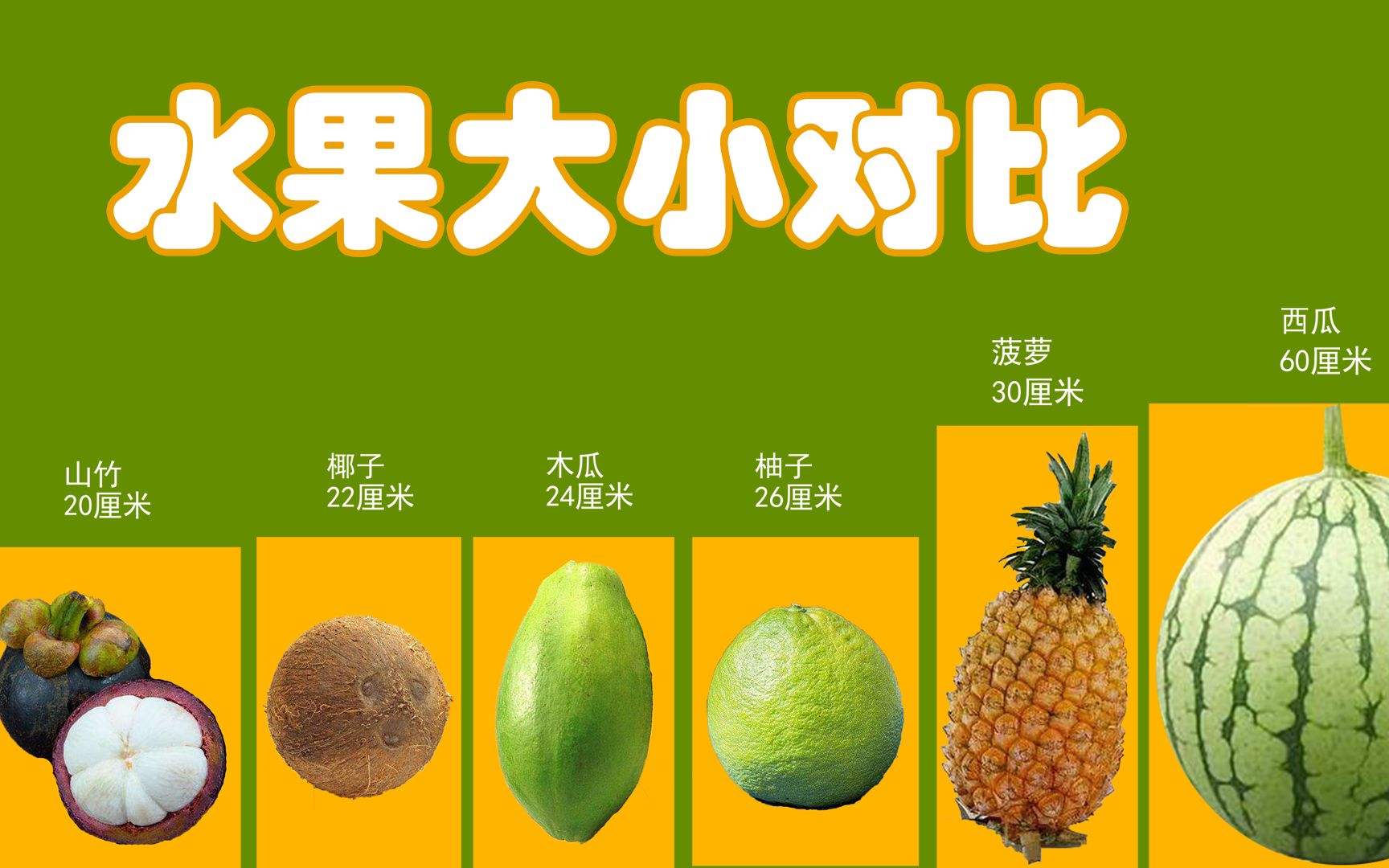 水果大小对比,没想到水果是这样分大小的,里面的水果你吃过几个?