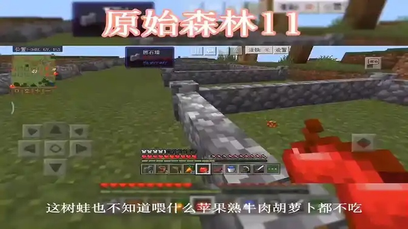 我的世界:原始森林11