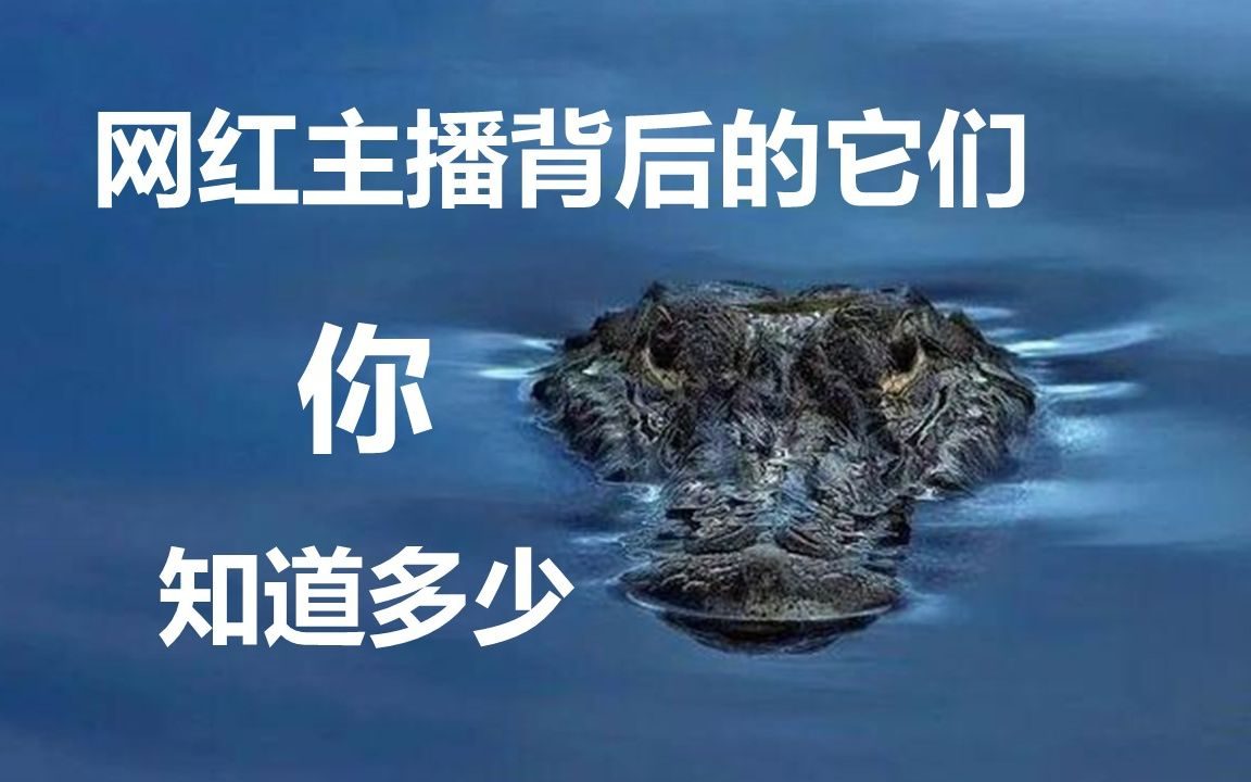 瑞银研究互联网专场:直播电商,游戏和媒体行业新机遇