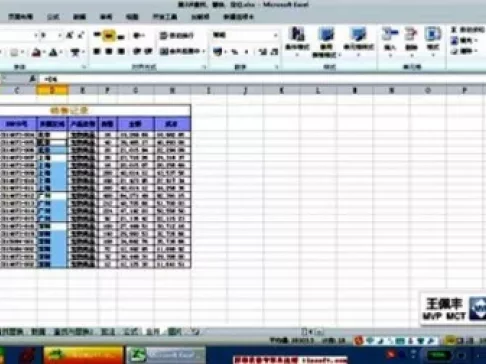 【王佩丰】Excel 2010 入门视频教程第3讲:查找、替换与定位