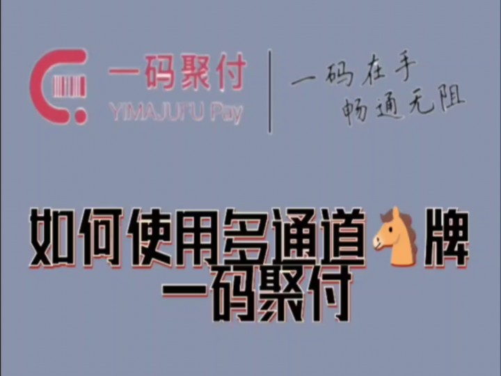 多通道一码聚付,一张码牌,6个通道6个商户,开通领取教程它来了哦!还不...
