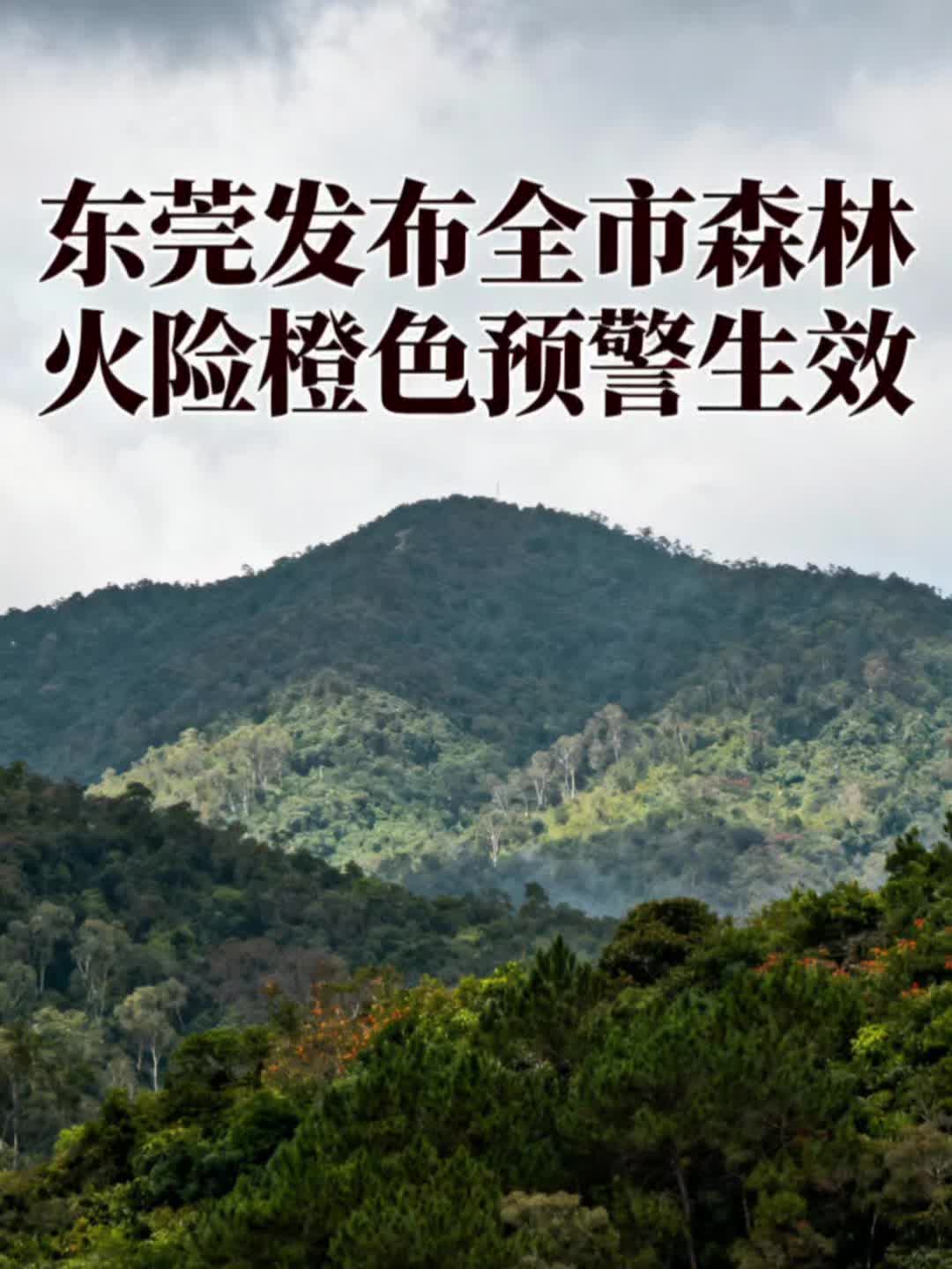 东莞发布全市森林火险橙色预警生效 全市#森林火险橙色预警生效 !...