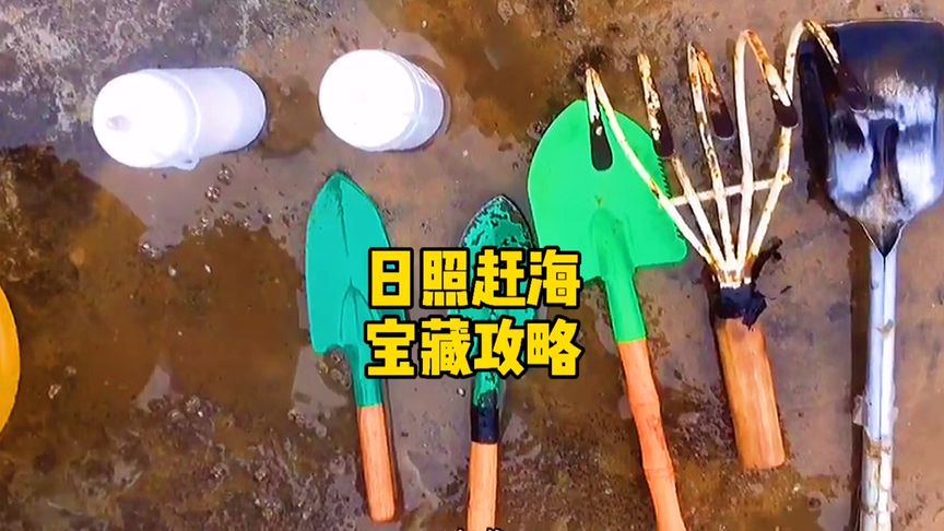 来海边最爽的就是赶海,来日照赶海这几点你得知道!
