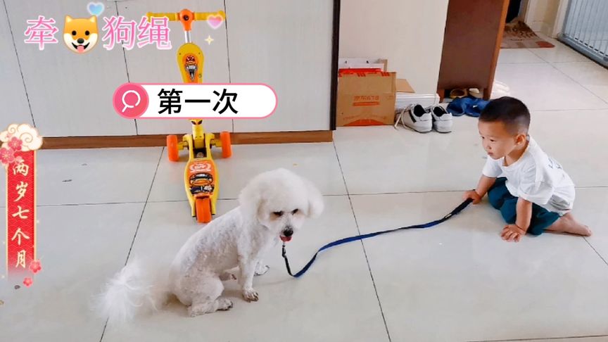 两岁萌娃 第一次牵狗绳接触宠物