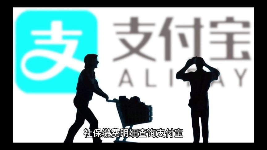 社保缴费明细查询支付宝(社保缴费明细查询支付宝怎么查)