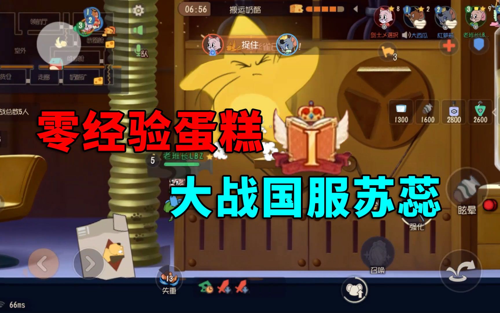 猫和老鼠手游:零经验蛋糕,大战国服前十苏蕊_手机游戏热门视频