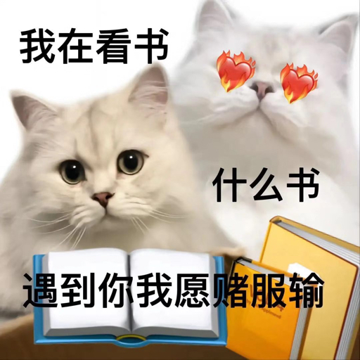 又在熬夜看文啦 