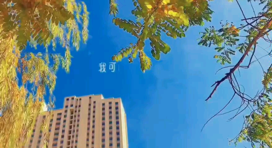 随着青春与记忆随着时间慢慢褪去,以前特别讨厌别人动不动就删人,...