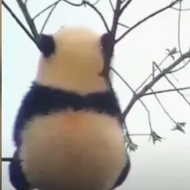 环球奇闻趣事 