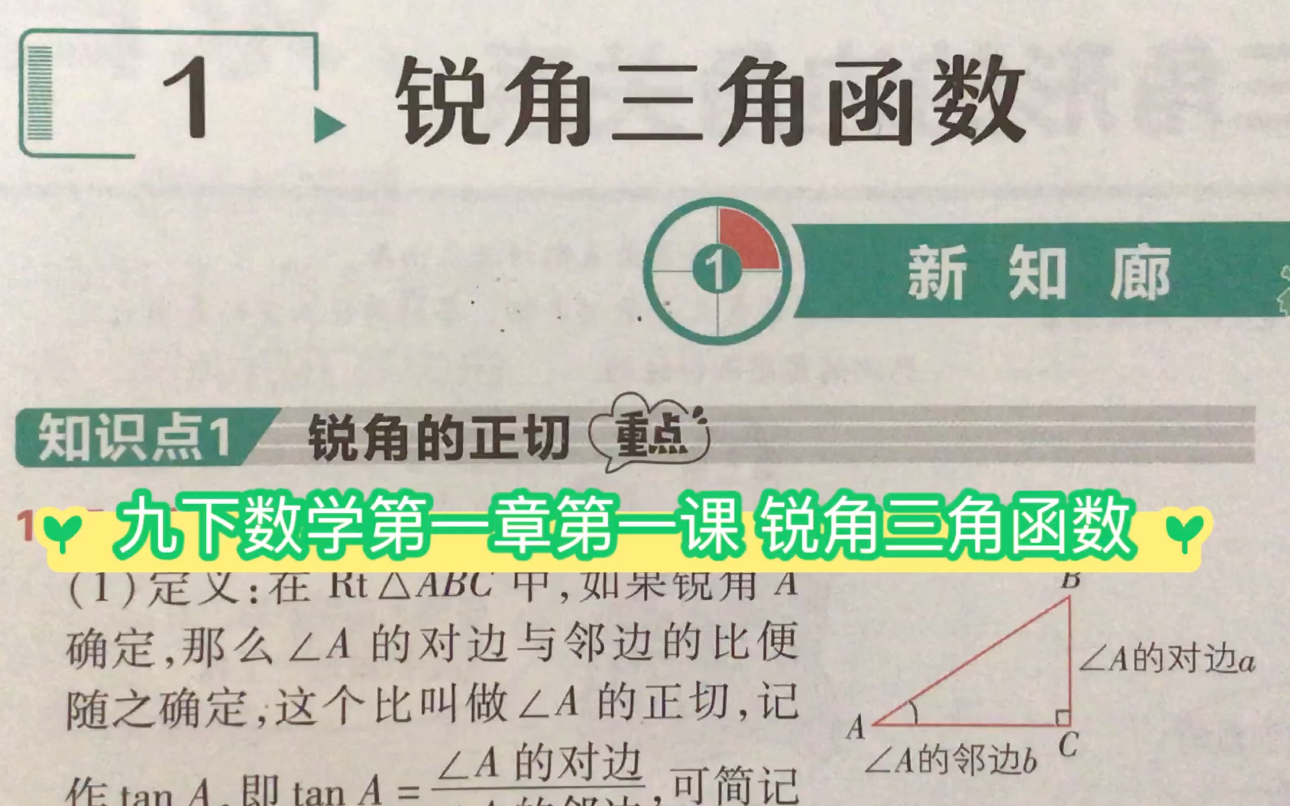 九下数学第一章第一课 锐角三角函数