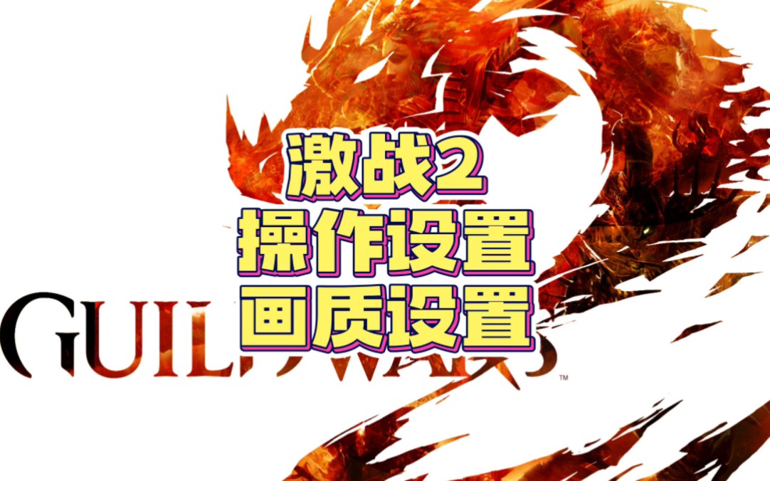激战2游戏设置小细节,画质设置,不想晃眼睛记得关闭后期处理,人多了...