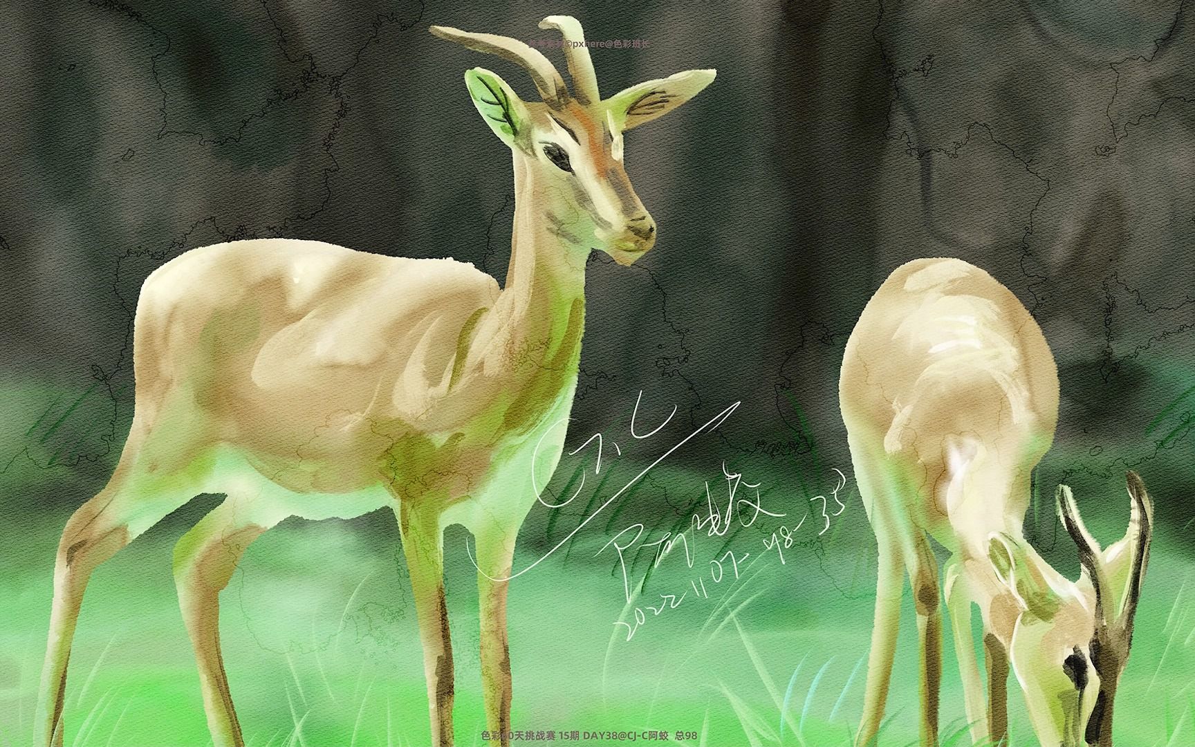 PS板绘水彩画照片,森林麋鹿小鹿动物风景练习打卡#色彩60天挑战赛# ...