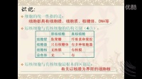 第1章第2节 细胞的多样性与统一性
