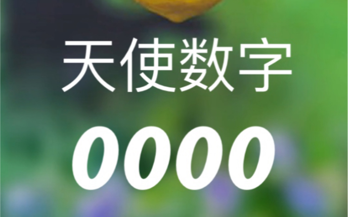 天使数字000