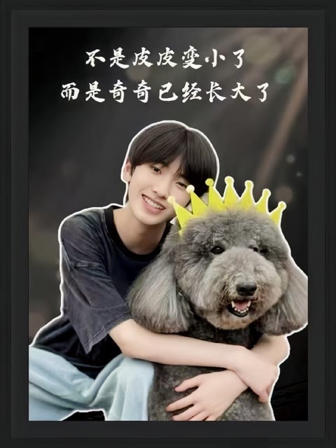 不是皮皮变小了,而是奇奇已经长大了 #TF家族四代 #左奇函 #娱你安利 ...