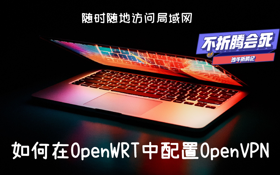 400软妹币买的垃圾主机,装了OpenWRT软路由,如何配置OpenVPN,以...