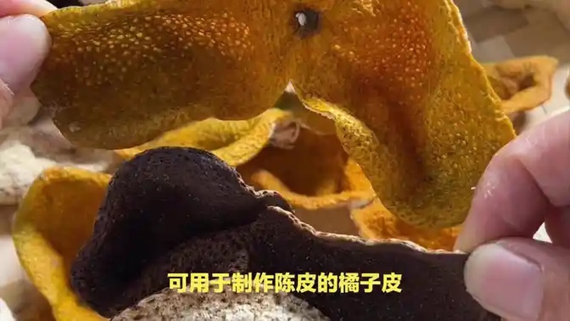 什么橘子皮可以做成陈皮
