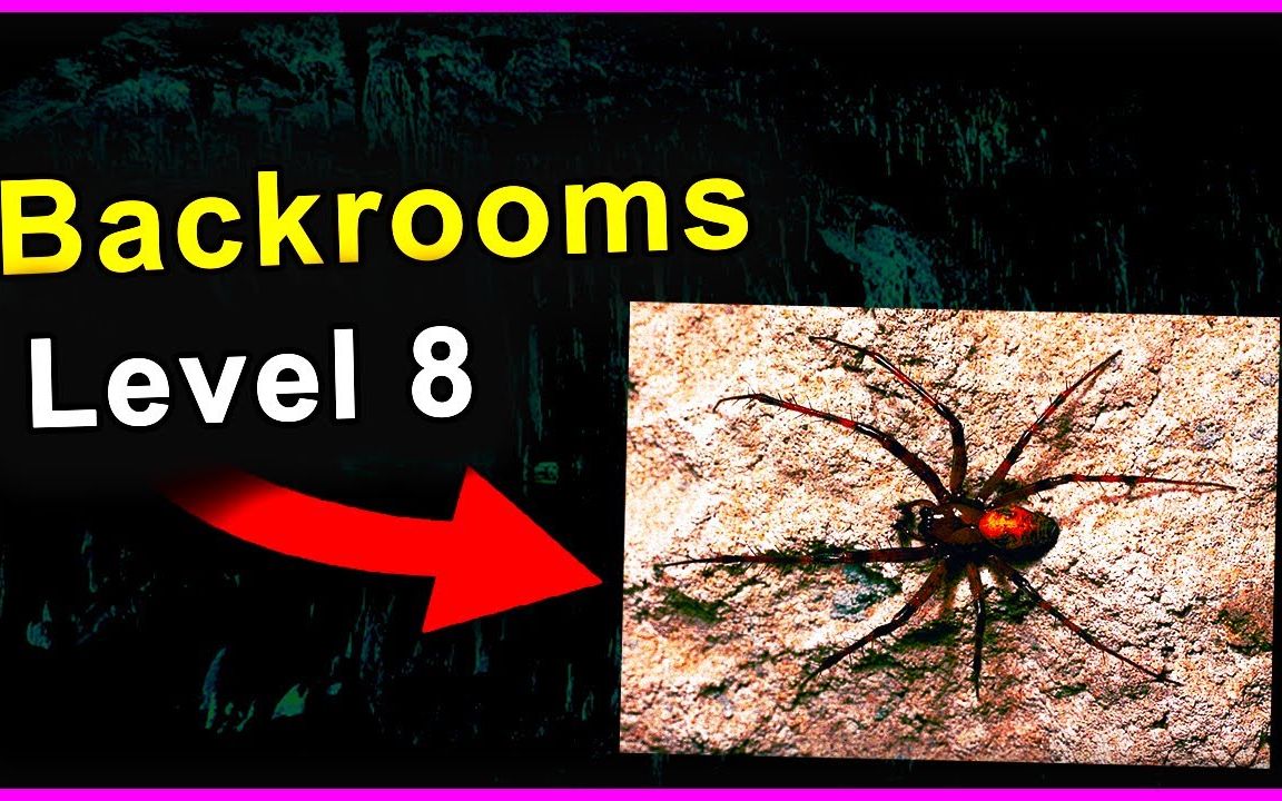 【Backrooms】Level 8 洞穴系统 "Cave System"解释