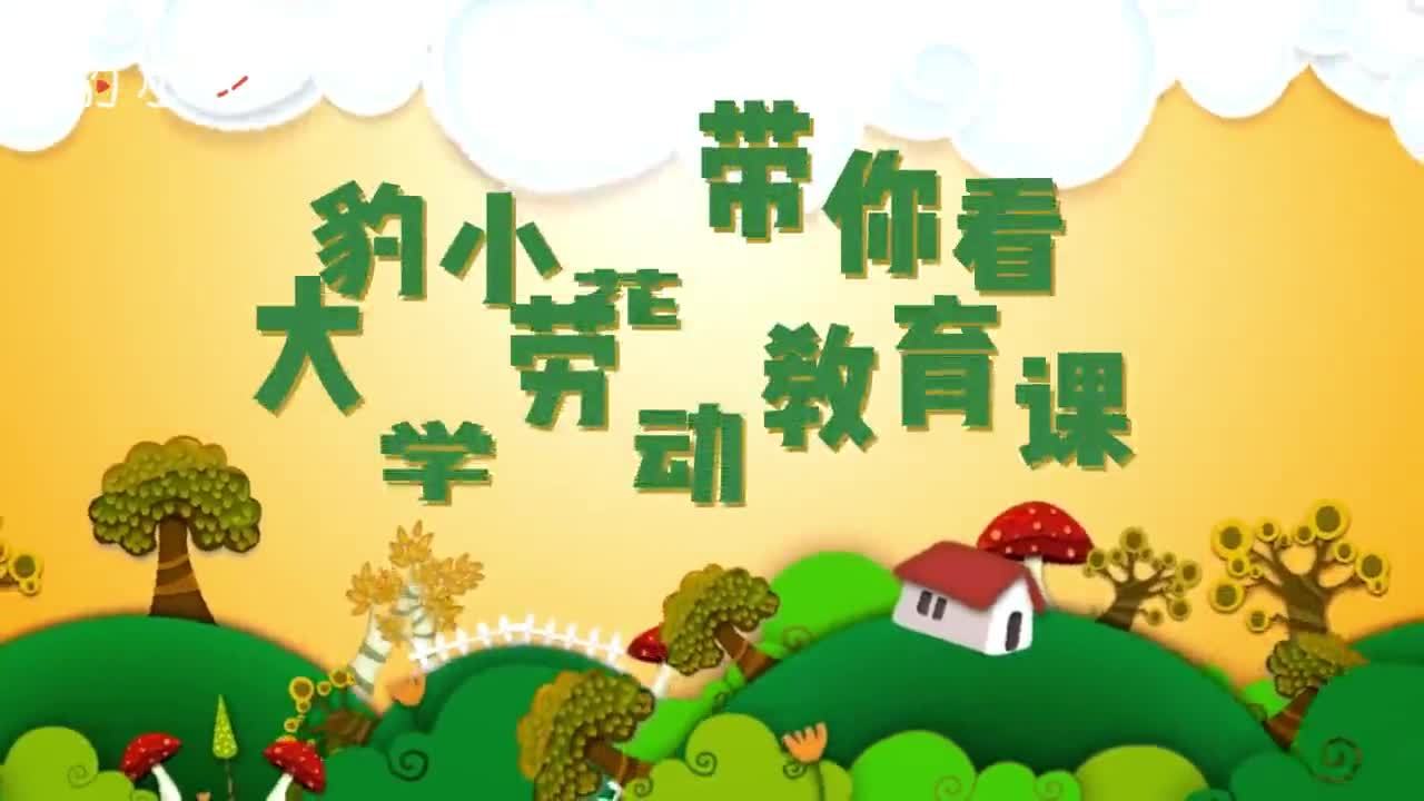 豹小花带你看大学劳动教育课
