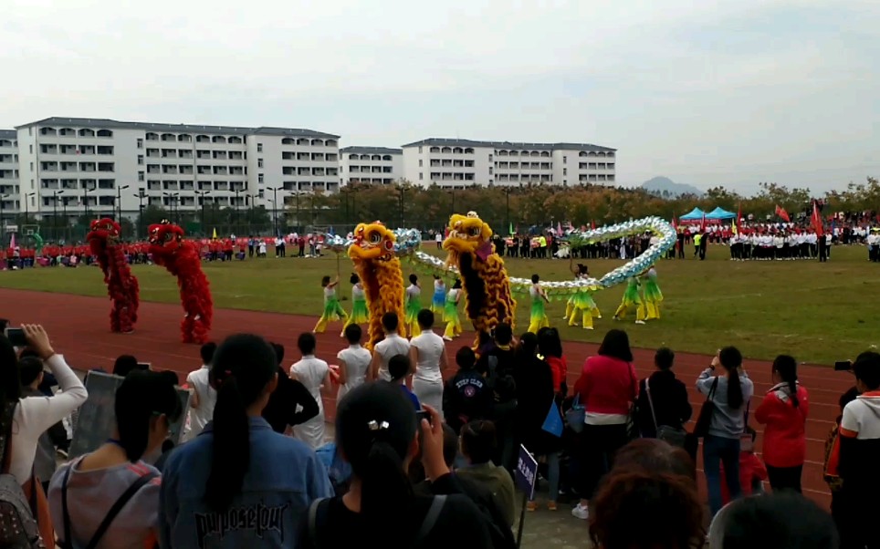 【随手拍】学校运动会开幕仪式