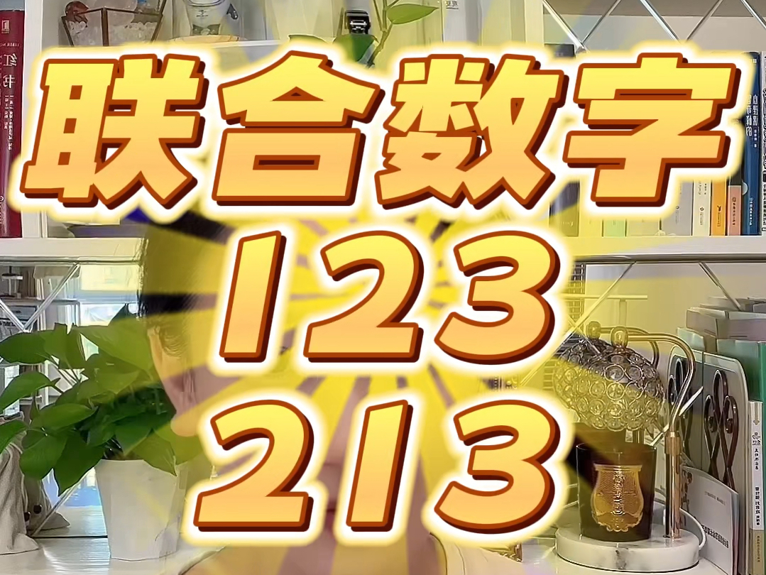 81组联合数字—123/213讲解#81组联合数字#生命数字#联合密码#生命...