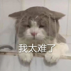 争席野老 