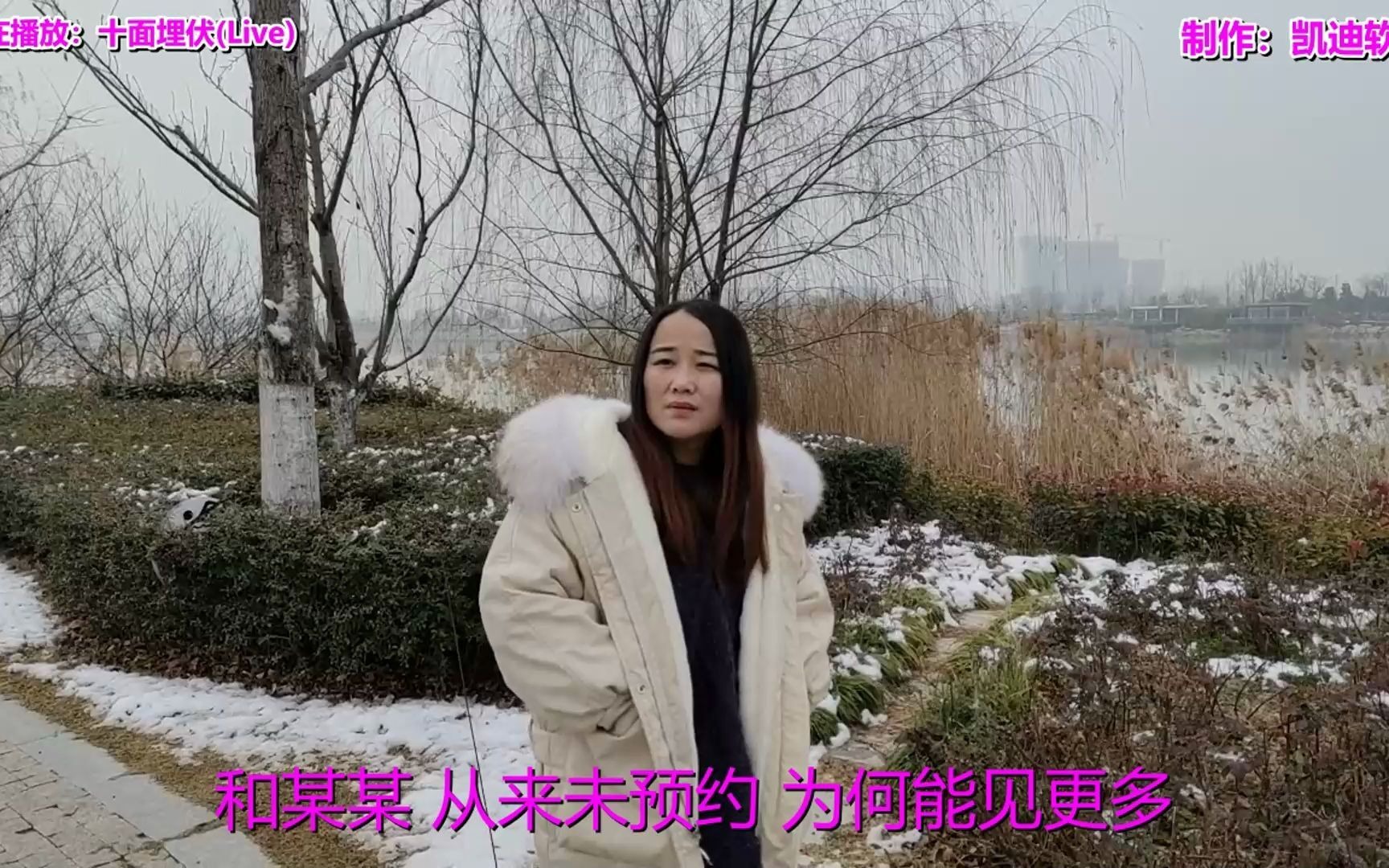 《十面埋伏(Live)》欣赏,rmvb怎么转换mp4格式哪个软件好
