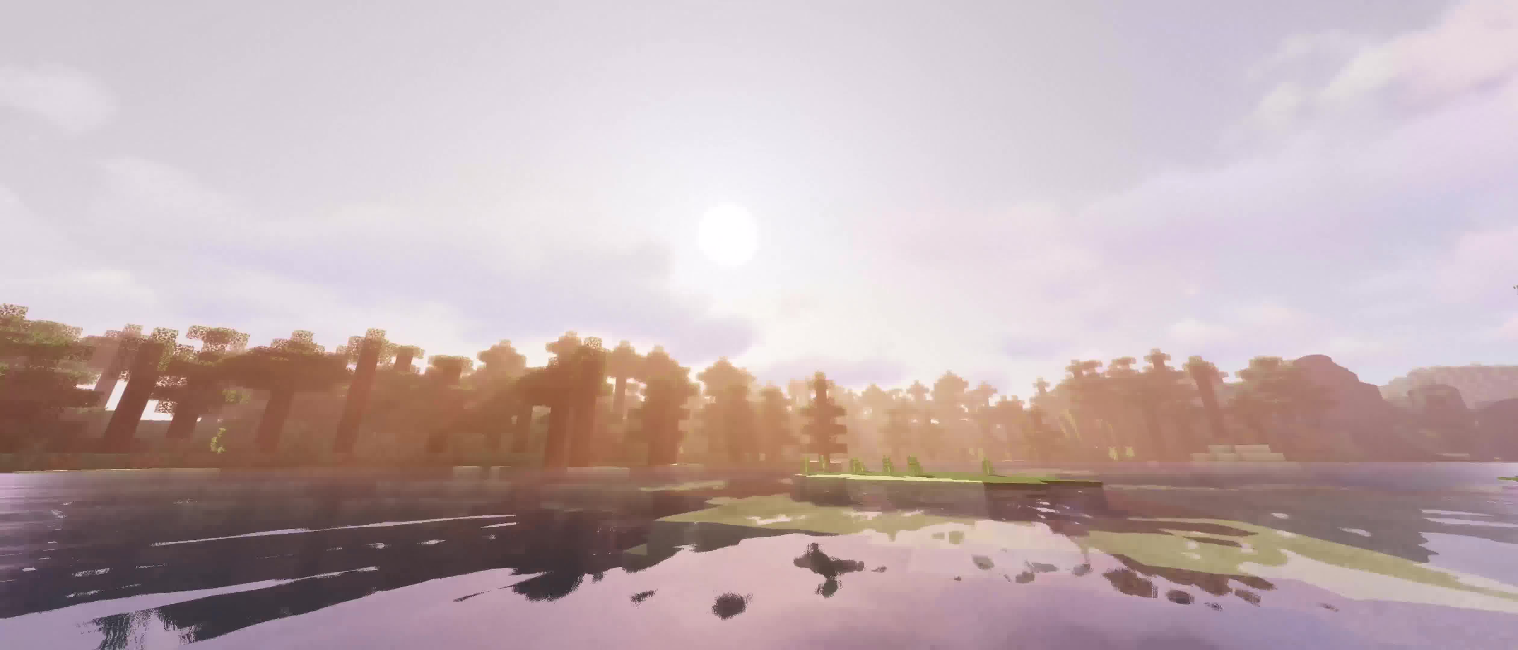 就当成动态壁纸呗