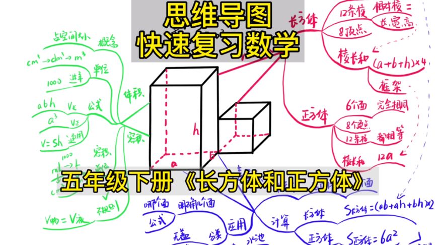 易错点重难点复习《长方体和正方体》思维导图快速复习五年级数学