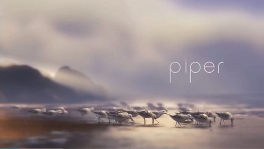 皮克斯动画短片【 鹬 】迪斯尼获奖作品