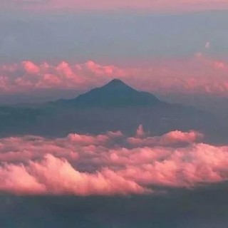 信息新视频