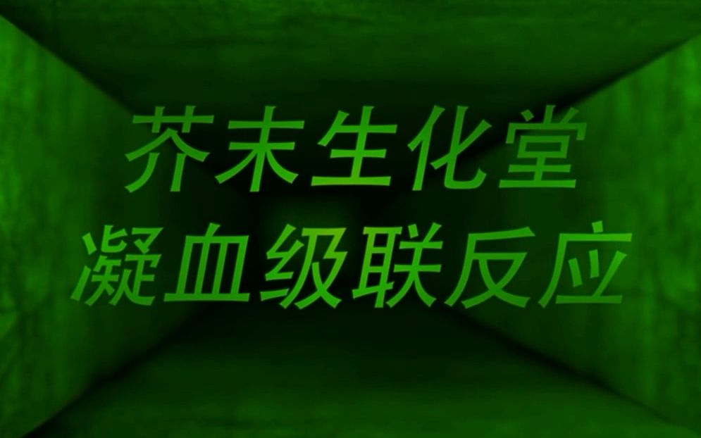 凝血级联反应 | 芥末生化堂