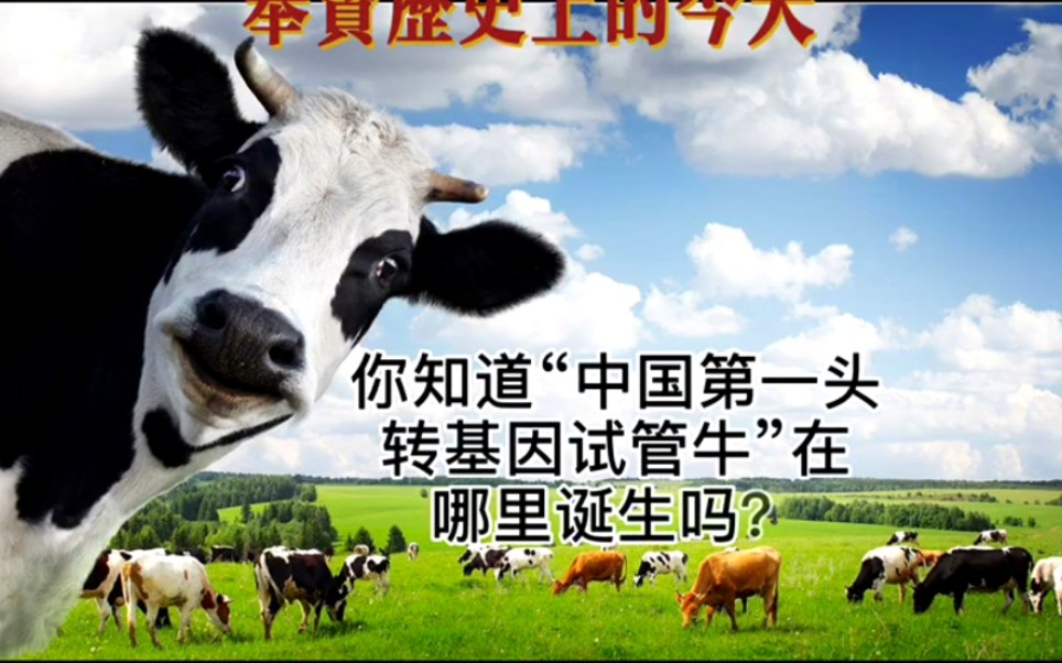 奉贤历史上的今天