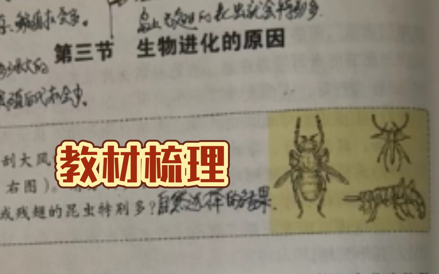教材梳理//第三章第三节 生物进化的原因(人教版初中生物八年级下册)