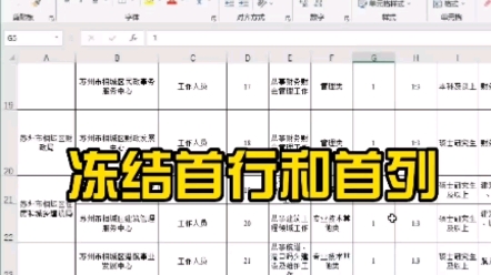 Excel如何冻结首行和首列,学会简单的操作