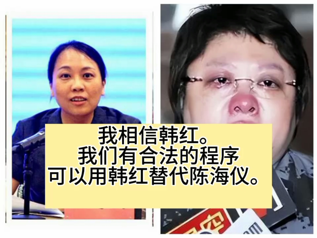 全体人民有合法的程序和权利。用韩红替代陈海怡。请看代表法。懂...