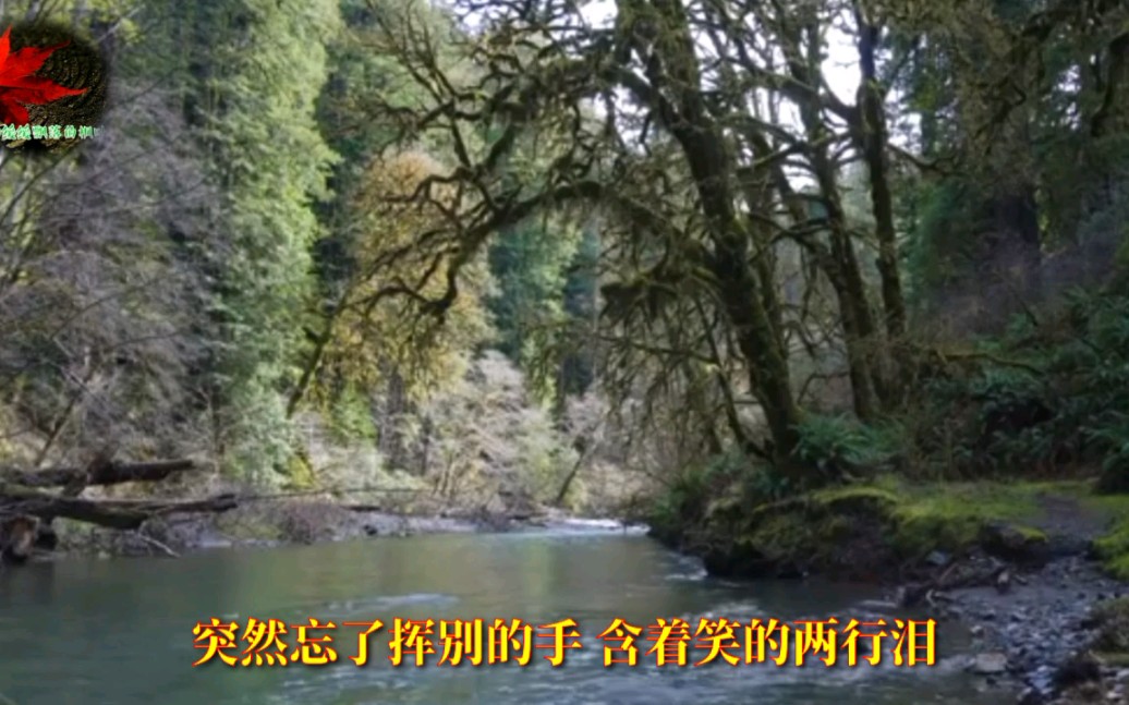 郑智化金曲《用我一辈子去忘记》