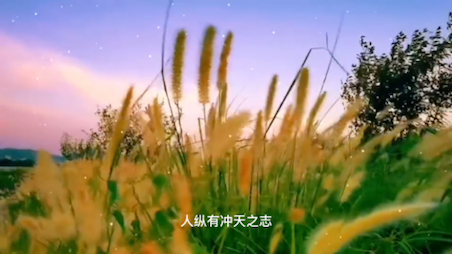 天不生无用之人,地不生无名之草,人纵有冲天之志,非运不能自通,时运...