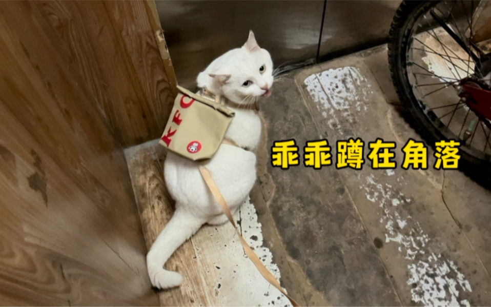 宝贝你看我很乖的,别怕,我不咬人的