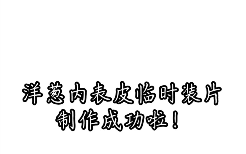 洋葱内表皮显微镜观察